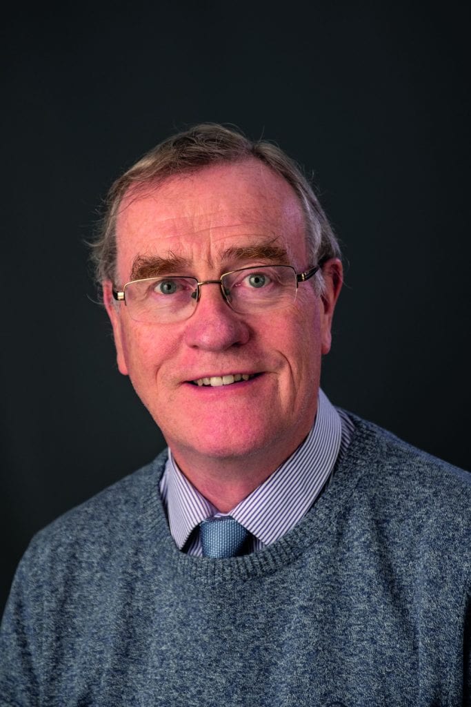 The Mark of Wisdom - the happybrain co.